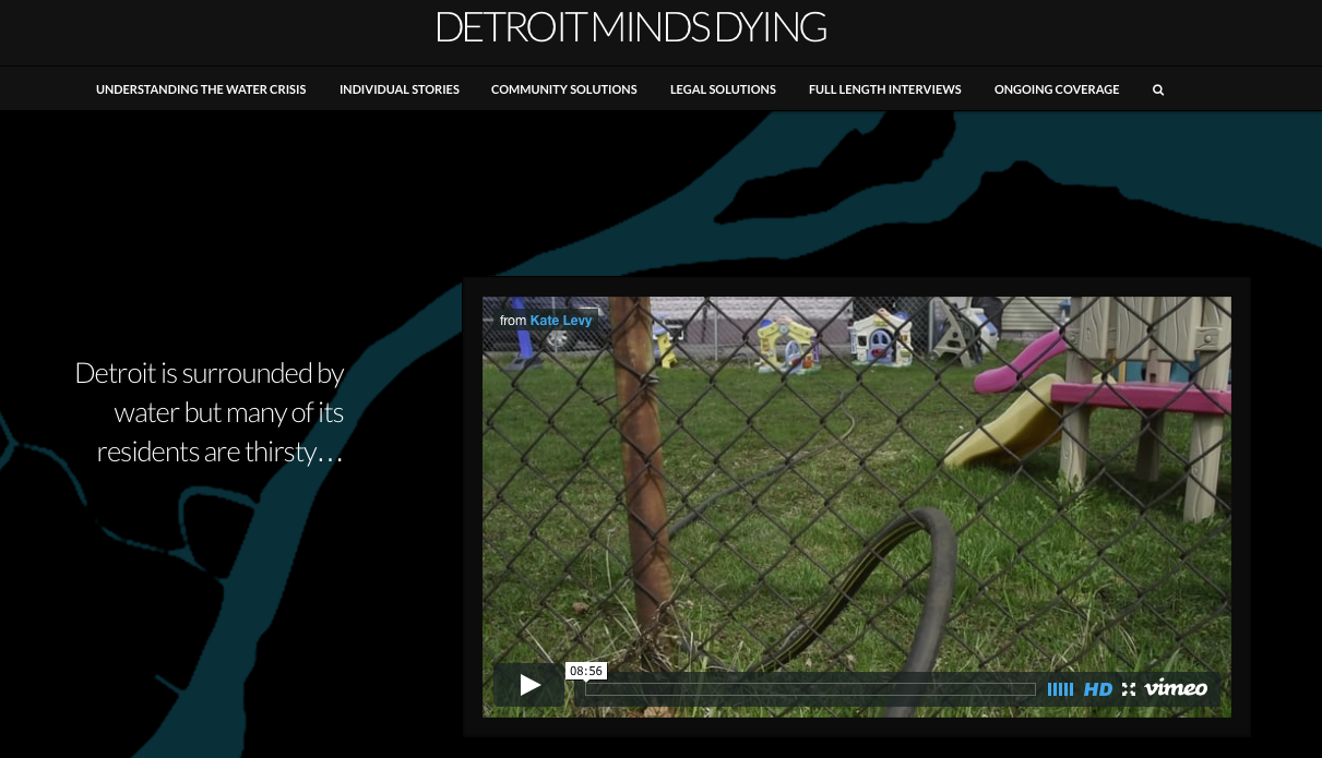 DETROIT MINDS DYING | Is an interactive documentary and research ...